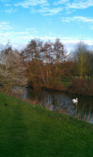 Just Call Me Frank: Our Endeavour at Being Frank: All The Queen's Swans