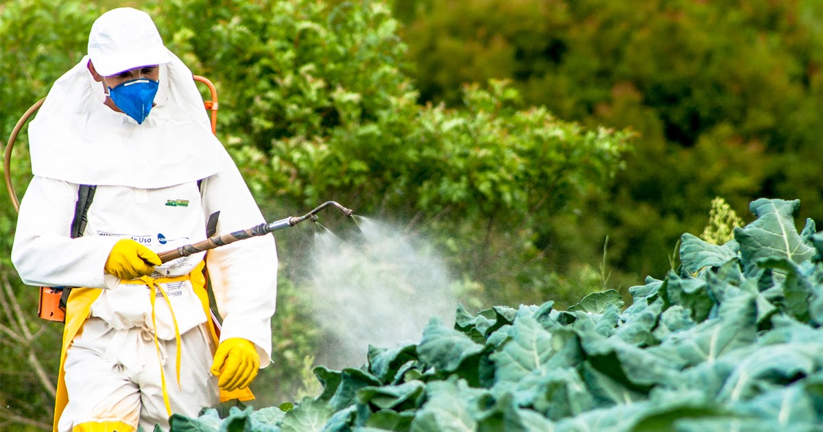 Gangsters Out Blog Gypsy Moth Spraying Continues In North Surrey