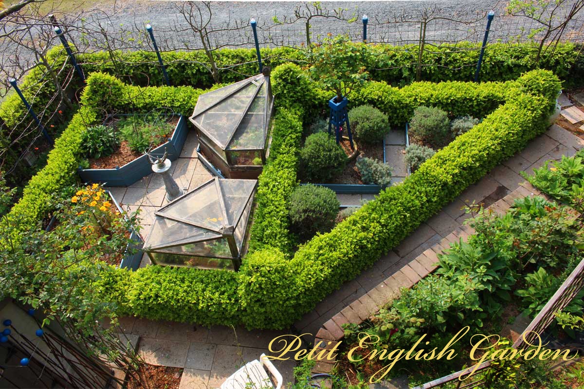 Petit English Garden of MARPLE & POIROT: PLANTING VEGETABLE SEEDLING IN ...