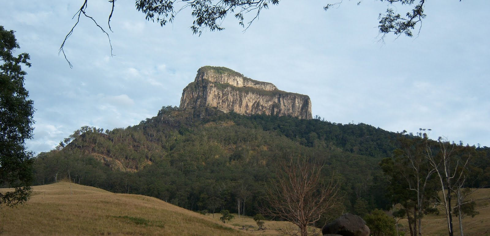 Capture's Of Life & Beauty