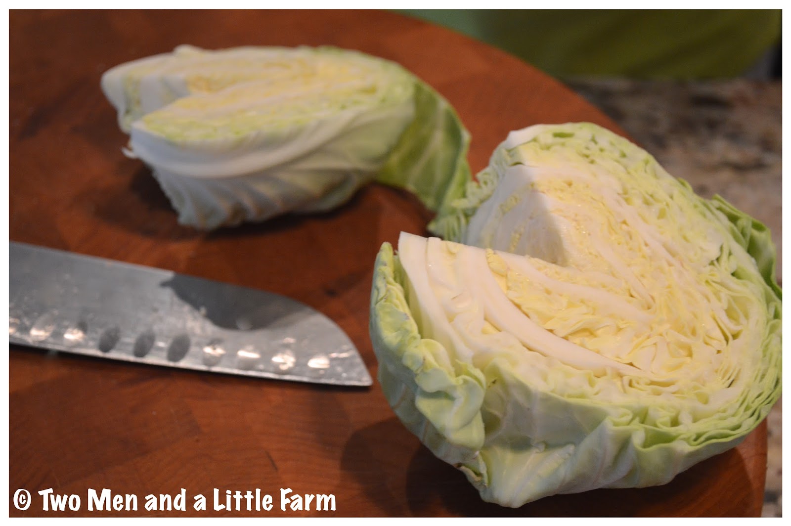 Two Men and a Little Farm: CABBAGE WITH BACON AND ONION RECIPE