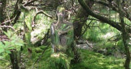 Djinn or Jinn: Djinn/Jinn in True Form,djinn female, marid djinn ...