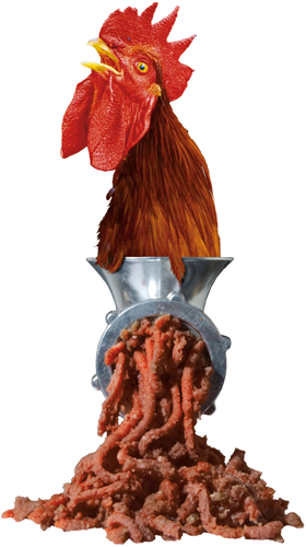 Cody's-Bike-Blog: Le coq est mort