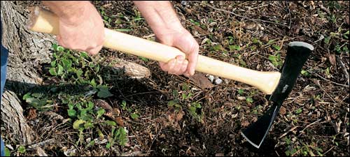 ECOA Recovery Guide – Phase 3: Adding to the basics – East Coast ...