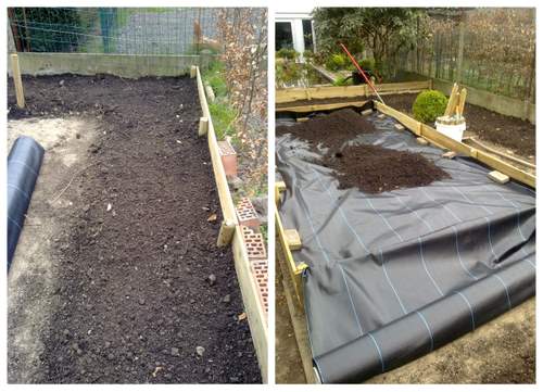 ATMOSVERT: project (moes)tuin