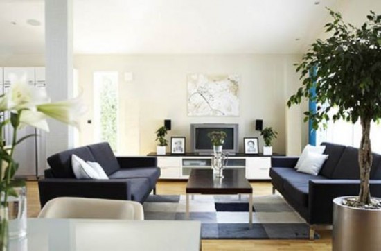Home Interior Design - Home Designer