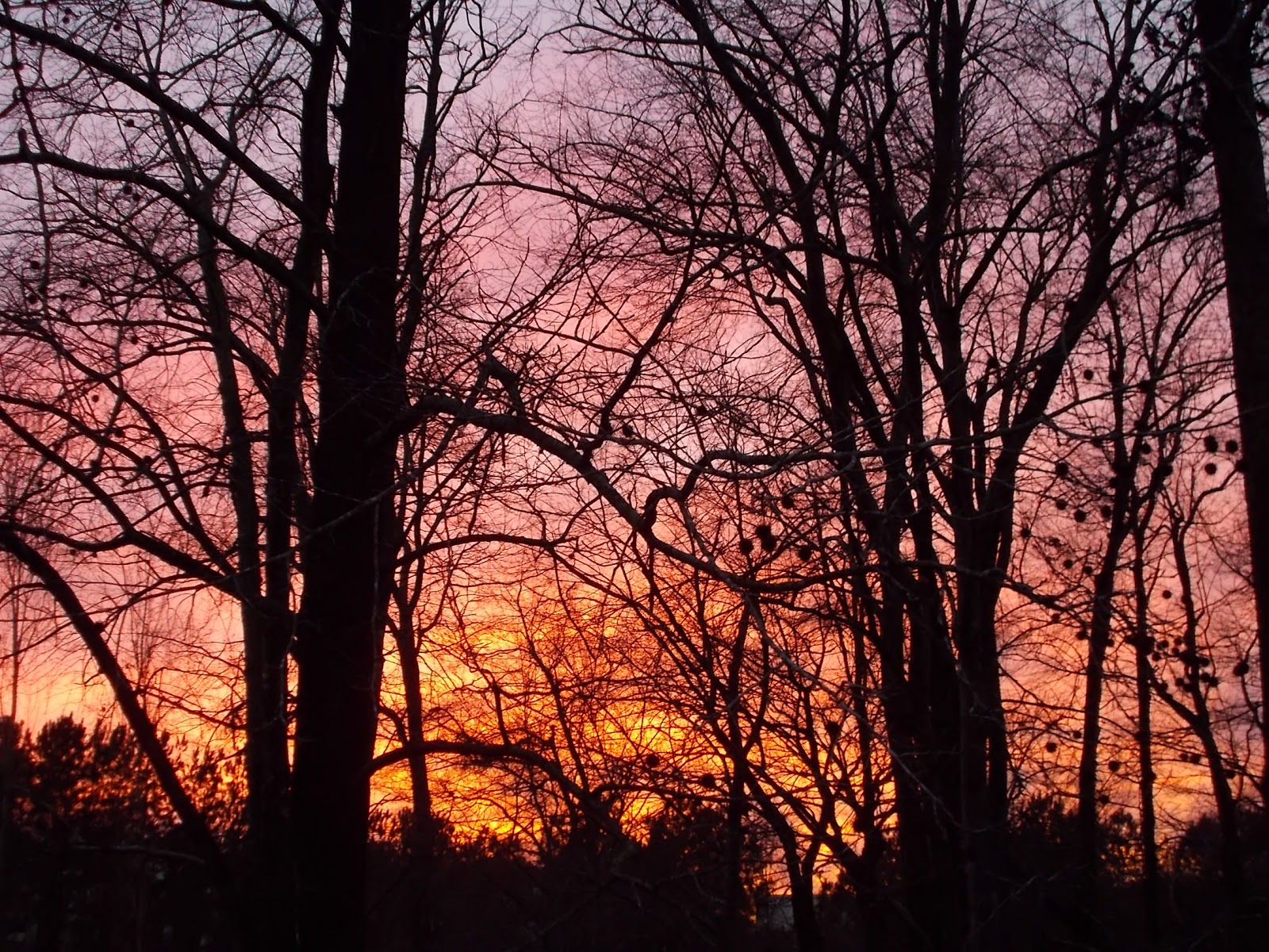 pieceful kwilter: wanna see something pretty?