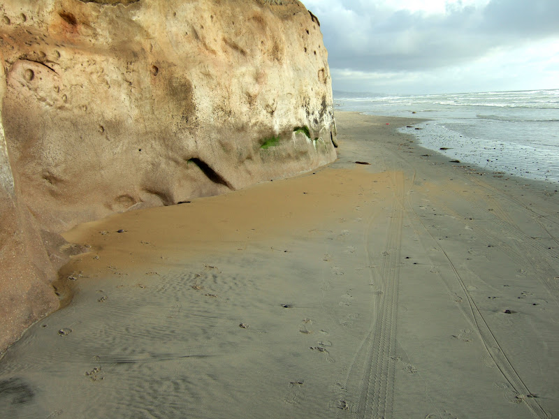 Reading the Washington Landscape: Notes From Another Shore