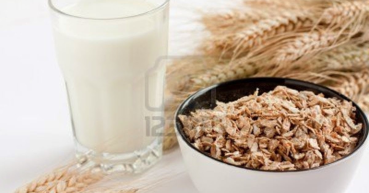 Haz tu propia leche vegana - Mundo Feliz