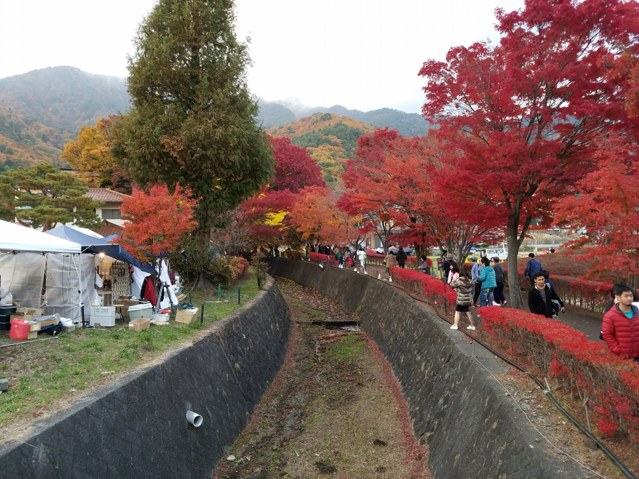 Sekai Ichi: Japan Travel Blog: Kawaguchi-ko Maple Corridor