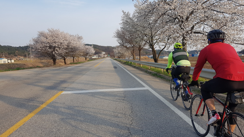 2019 플래쉬 완주 후기 – 세종대왕팀 (여주~광주 360km) | | 오해피넷