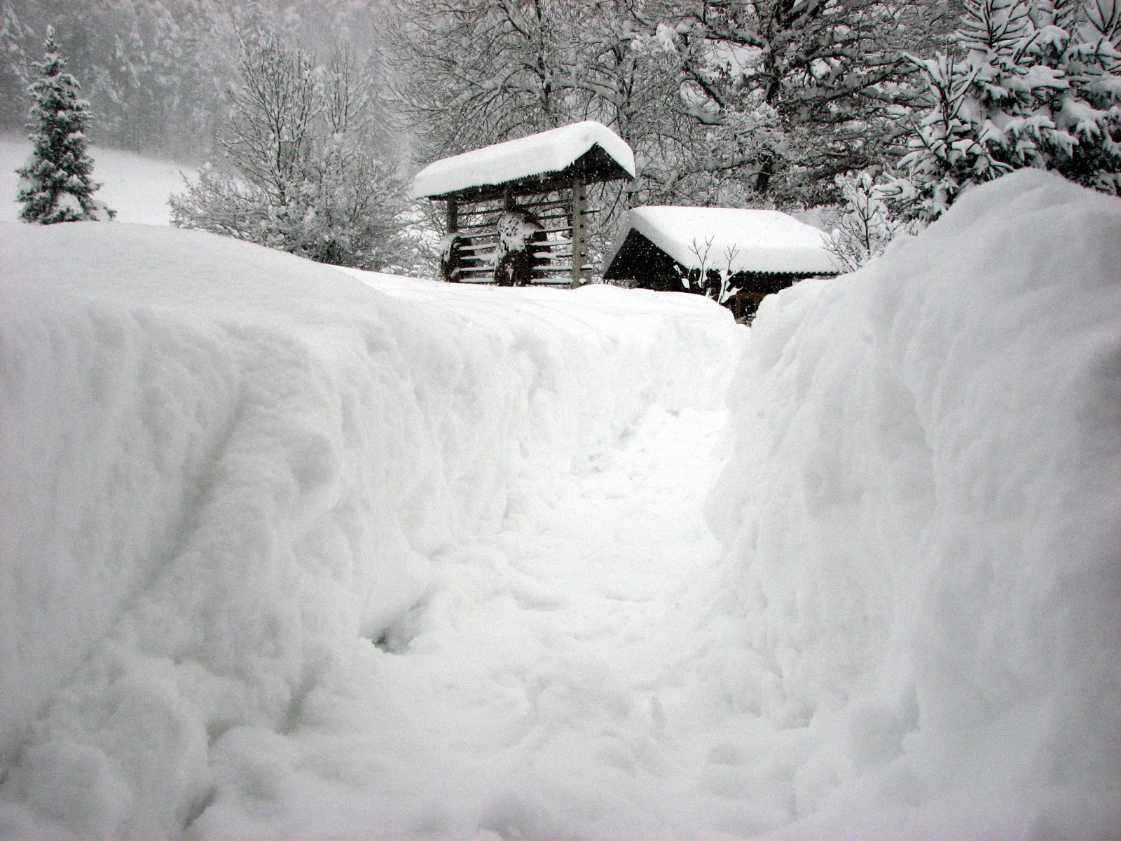 Sneg, sneg, sneg.... ~ SNEG NAREDI.SI