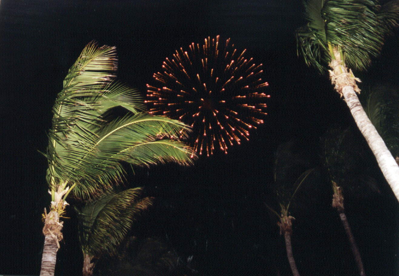 key west the blog!: 07/01/2012 - 08/01/2012