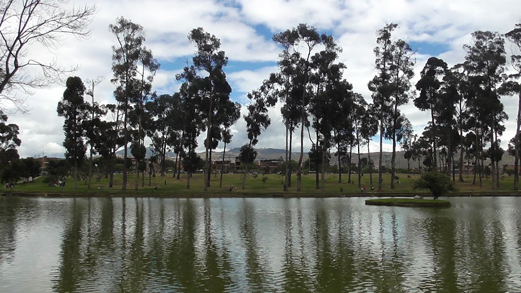 Turismo en Bicicleta Bogota: Arboles Parque Timiza