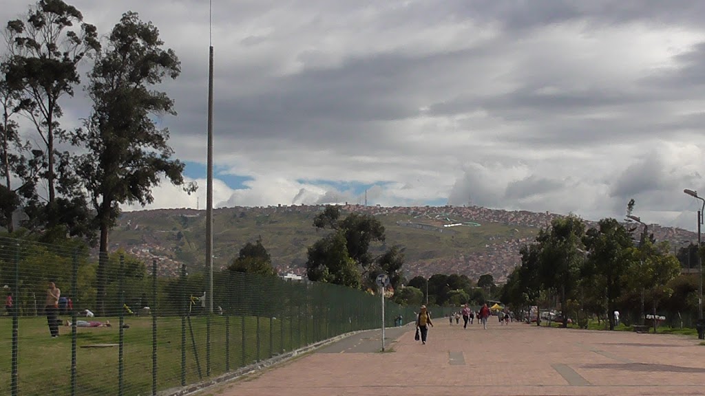 Turismo en Bicicleta Bogota: Arboles Parque Timiza