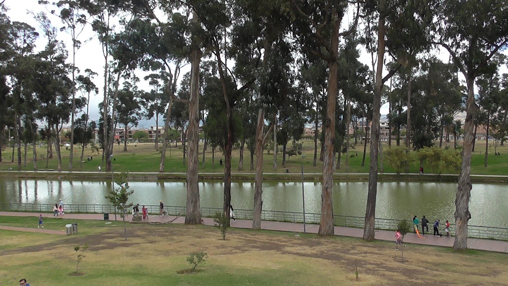 Turismo en Bicicleta Bogota: Arboles Parque Timiza