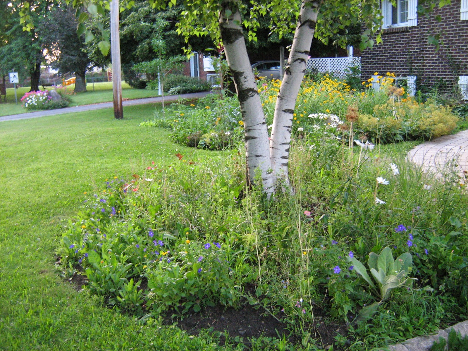Réaménager une plate-bande