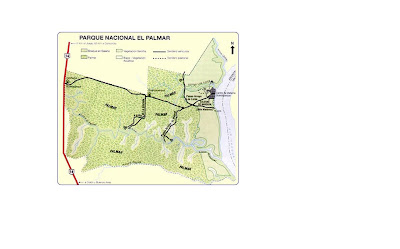 Parque Nacional El Palmar
