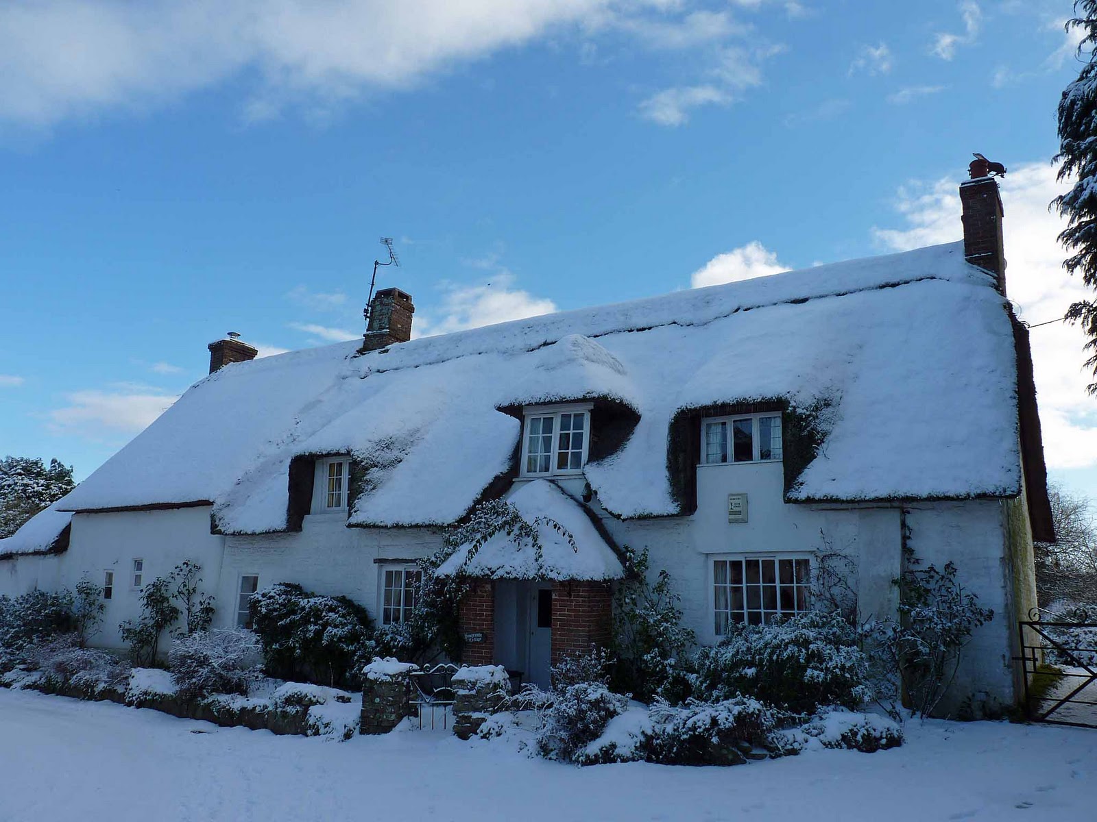 Dorset Allsorts: Snowy Dorset