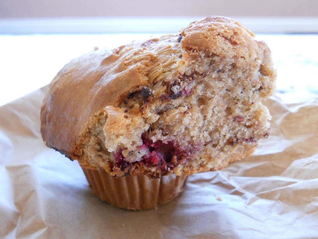 Snacking Squirrel: Birth Defected Muffin