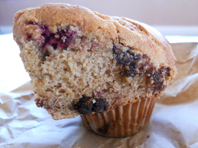 Snacking Squirrel: Birth Defected Muffin