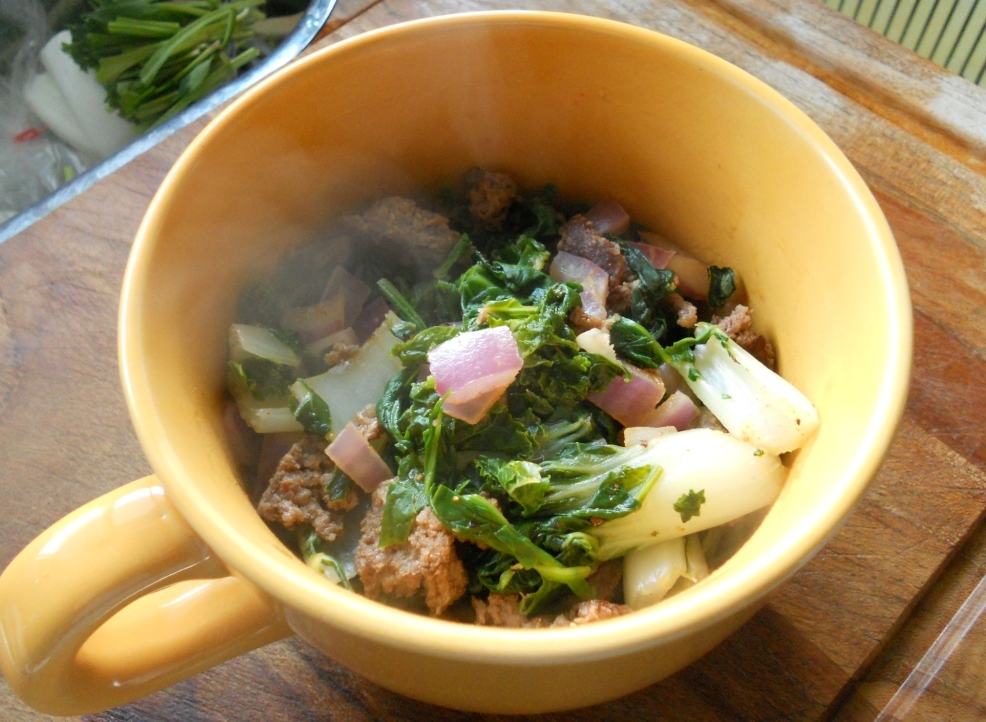 Snacking Squirrel: Canadian Bison