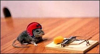 I Love Ur Smile: Mouse wear helmet