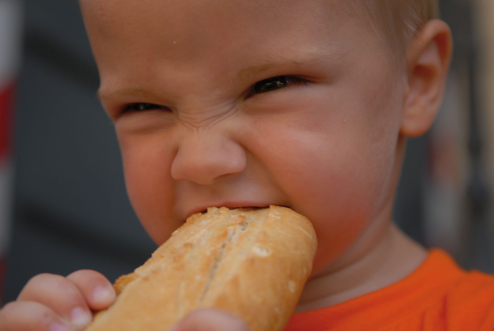 COMER PAN=NIÑOS MENOS OBESOS | SABER ARTESANO