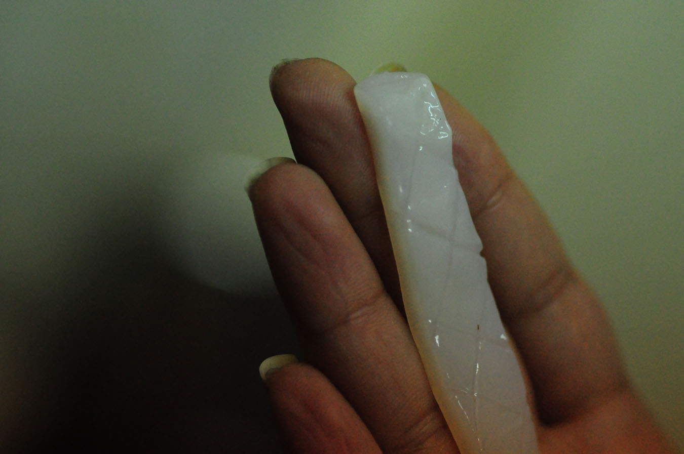 Follow My Recipe: Eviscerating Squid: A super sensual experience (Step ...