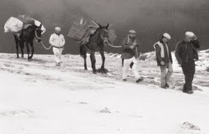 Rflx-s: ARRIEROS Y RECOVEROS.......