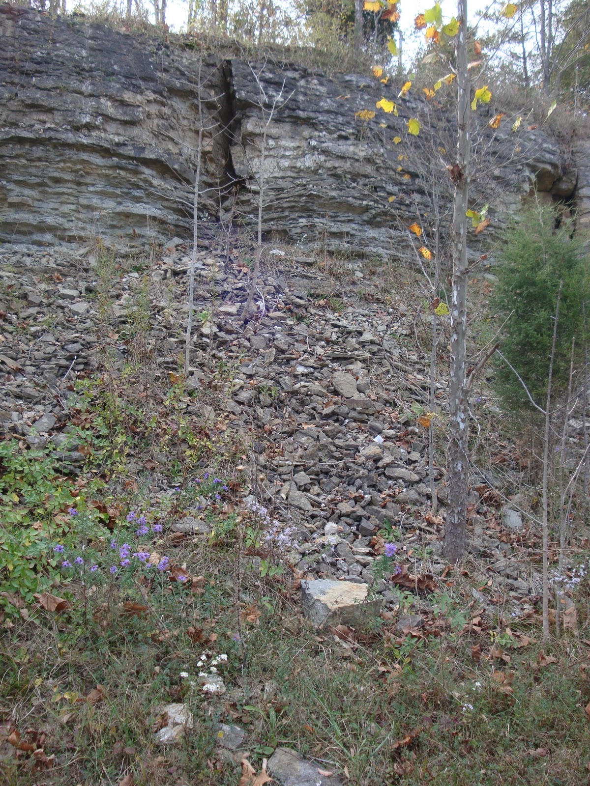 Learning Cincinnati Geology