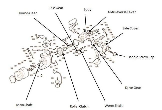 All About Fishing: Main Components and Functions Together Indoor ...