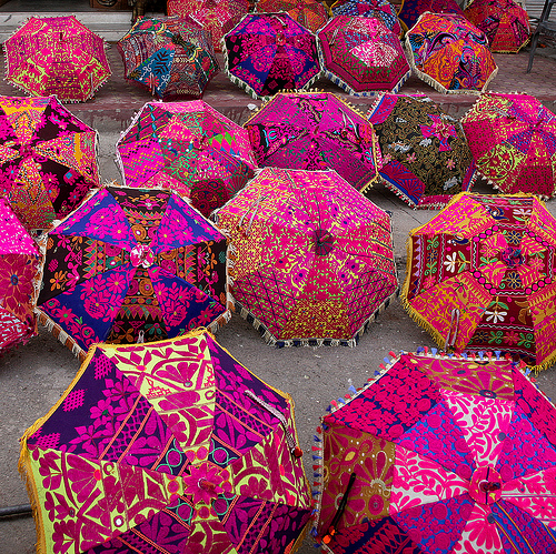 A Photo a Day from Planet Earth: Ambrella