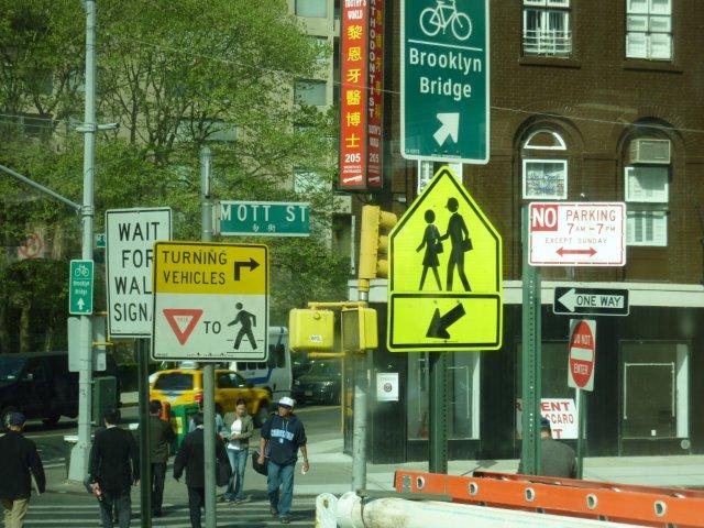 kelly's world cruise