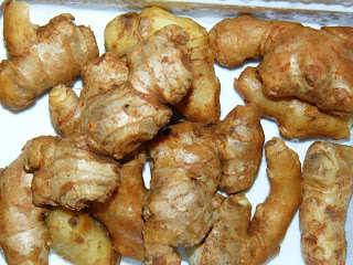 Pawprints in the Sands of Time: TRUE COLOUR THURSDAY #7