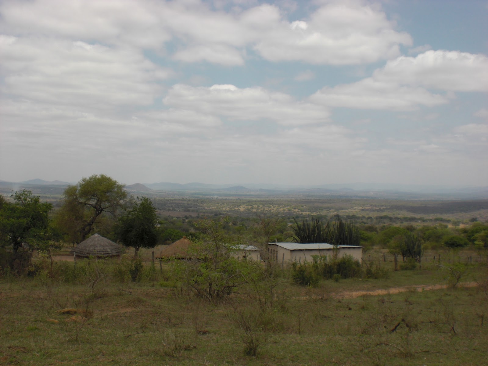 Jason Jaksetic: Highveld vs Lowveld