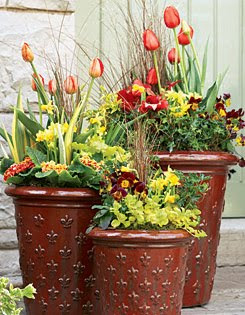 Room to Inspire: Spring Containers