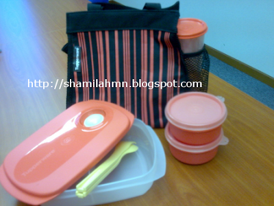 Get Your Latest Tupperware: Quick Lunch Set