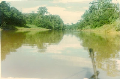 PGB Warrior: Canoeing Down Sabah's Second Longest River (Segama River)