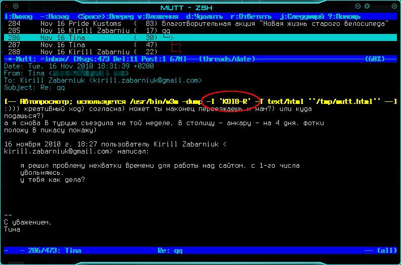 Mosquito: Просмотр html-содержимого в mutt и правильная кодировка