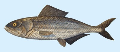 Skipjack's Nautical Living: Nautical Folk Art- A Dealers Passion