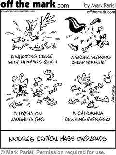 jake & kim: Whooping Cough Vaccine - DTaP