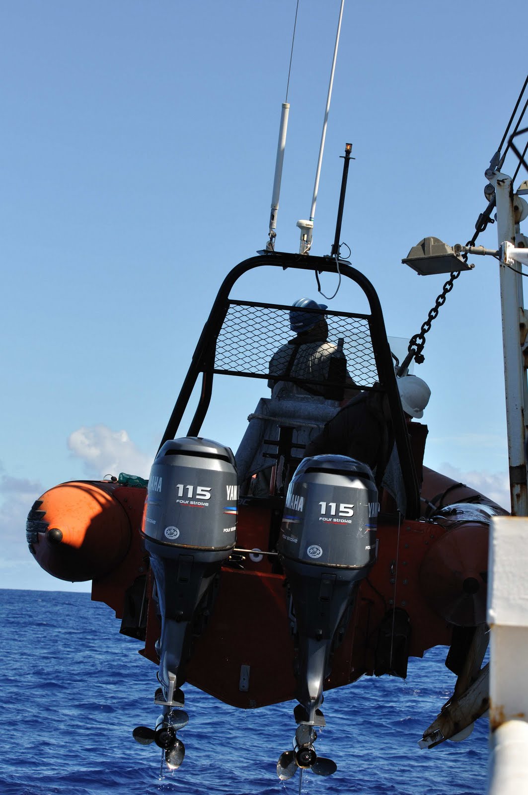 Okie Whaler: Miranda Davit and the Ptotally Pterrible Pterodactyls