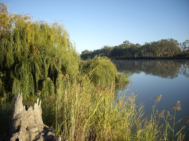 Mighty Murray River: Australias Largest River System