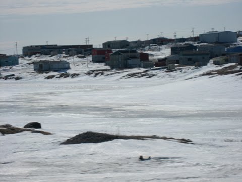 the people garden: inukjuak...oh inukjuak