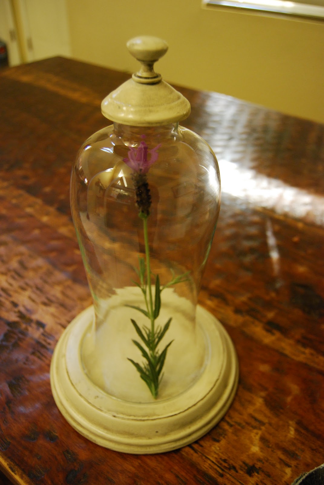Revamped Home Furnishings: DIY Cloches - A Tutorial.....and some really ...