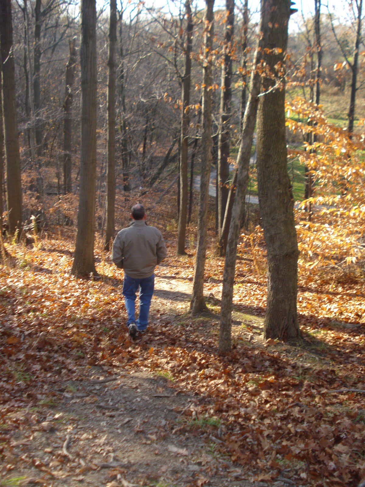 Tales from Clippy Mat: the remains of the day