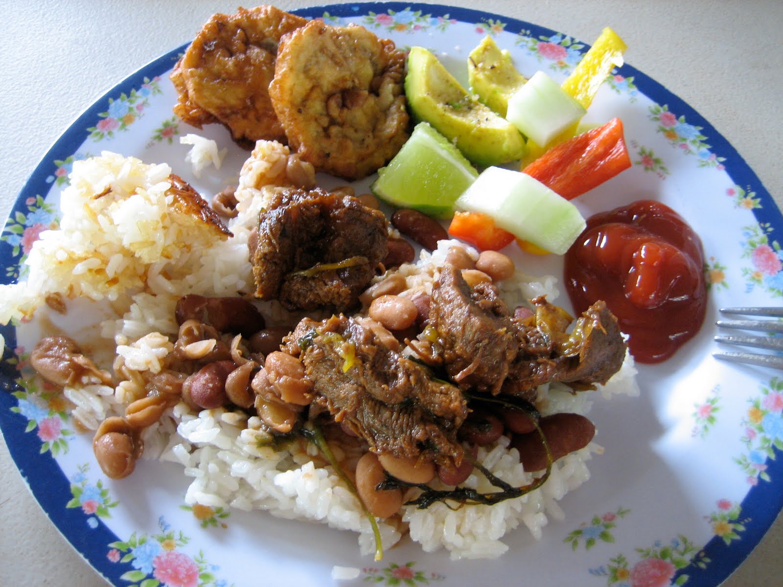 serving and loving the dominican republic: Life so far in the Dominican