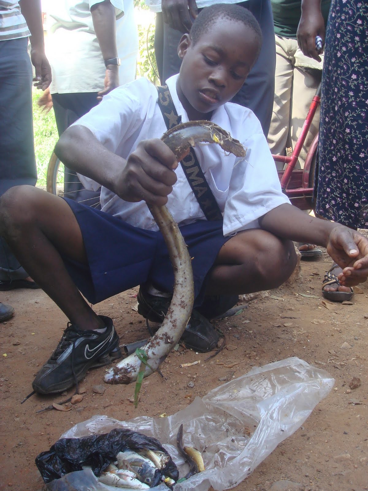 SAMAKI AINA YA MKUNGA WAPO KIBAO MTO MOROGORO. | MTANDA BLOG