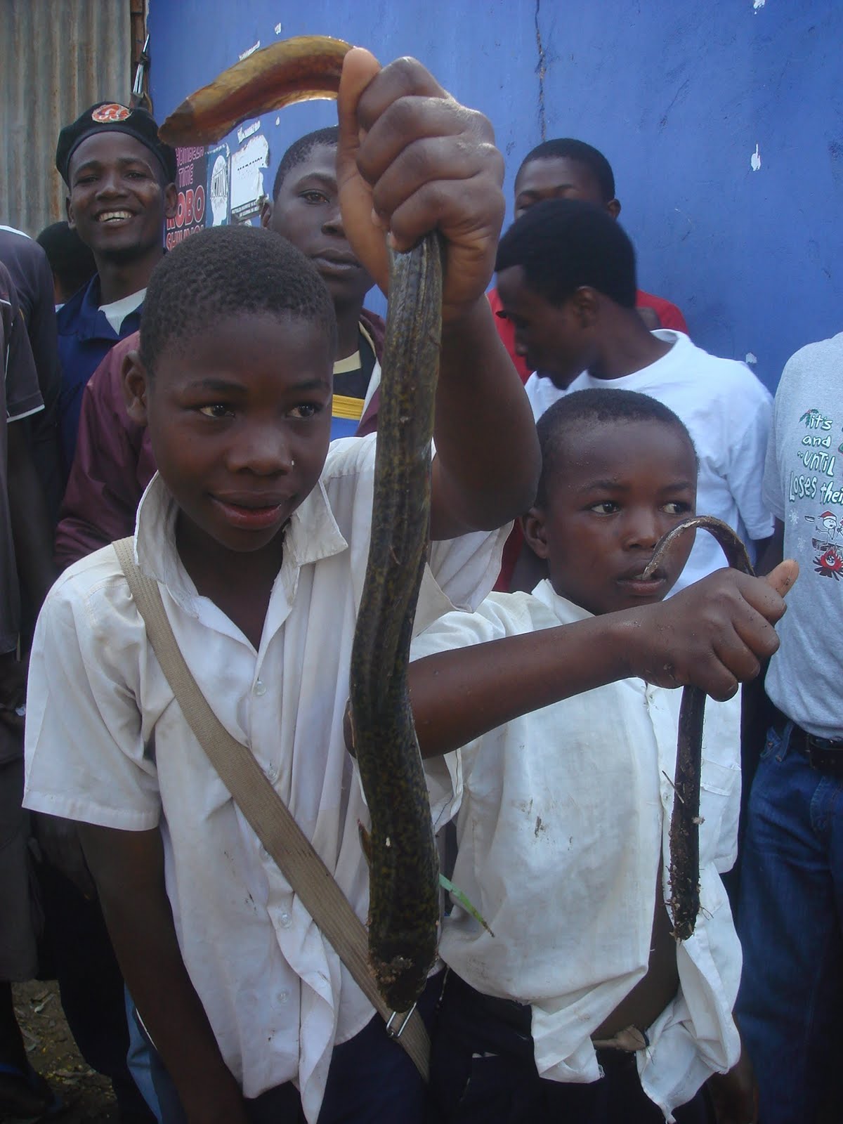 SAMAKI AINA YA MKUNGA WAPO KIBAO MTO MOROGORO. | MTANDA BLOG